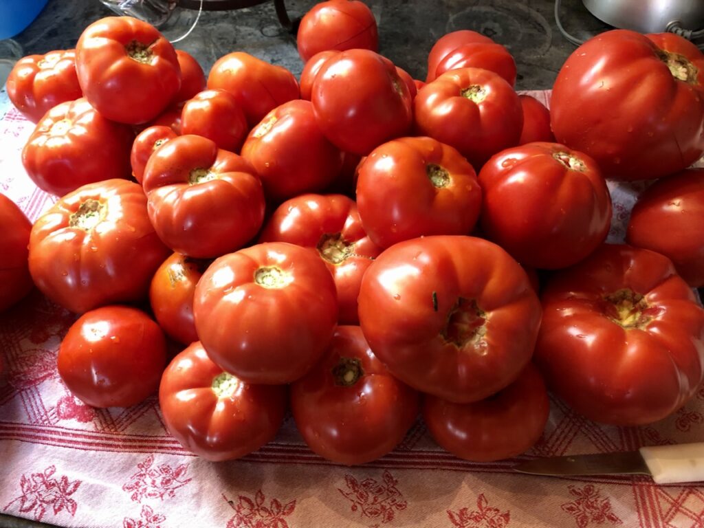 The Best Homemade Salsa – Mission Exploration